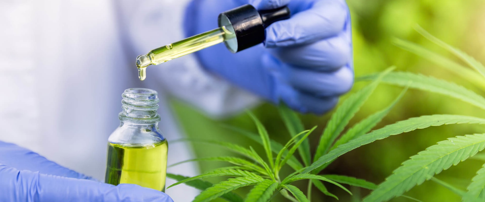 Exploring the Potential of Cannabis Therapy in Conjunction with Other ...